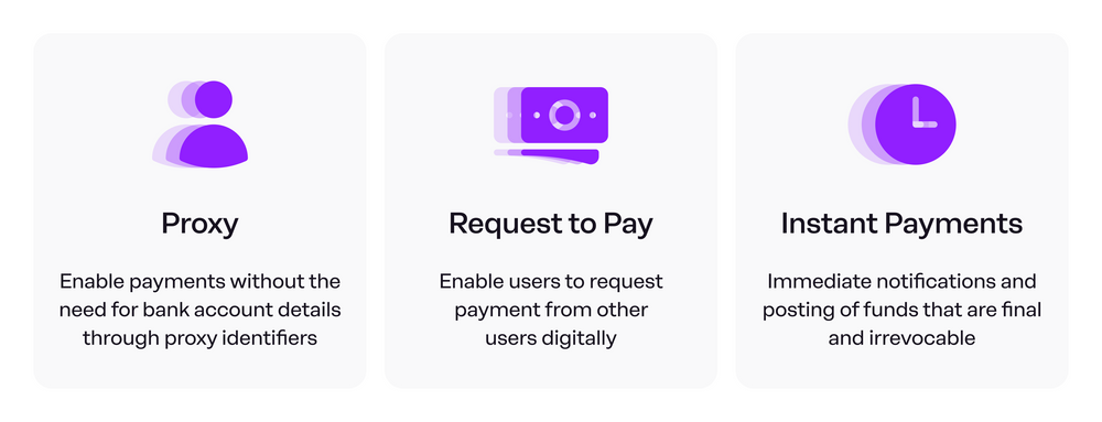 What is PayShap / the Rapid Payments Program (RPP) in South Africa?